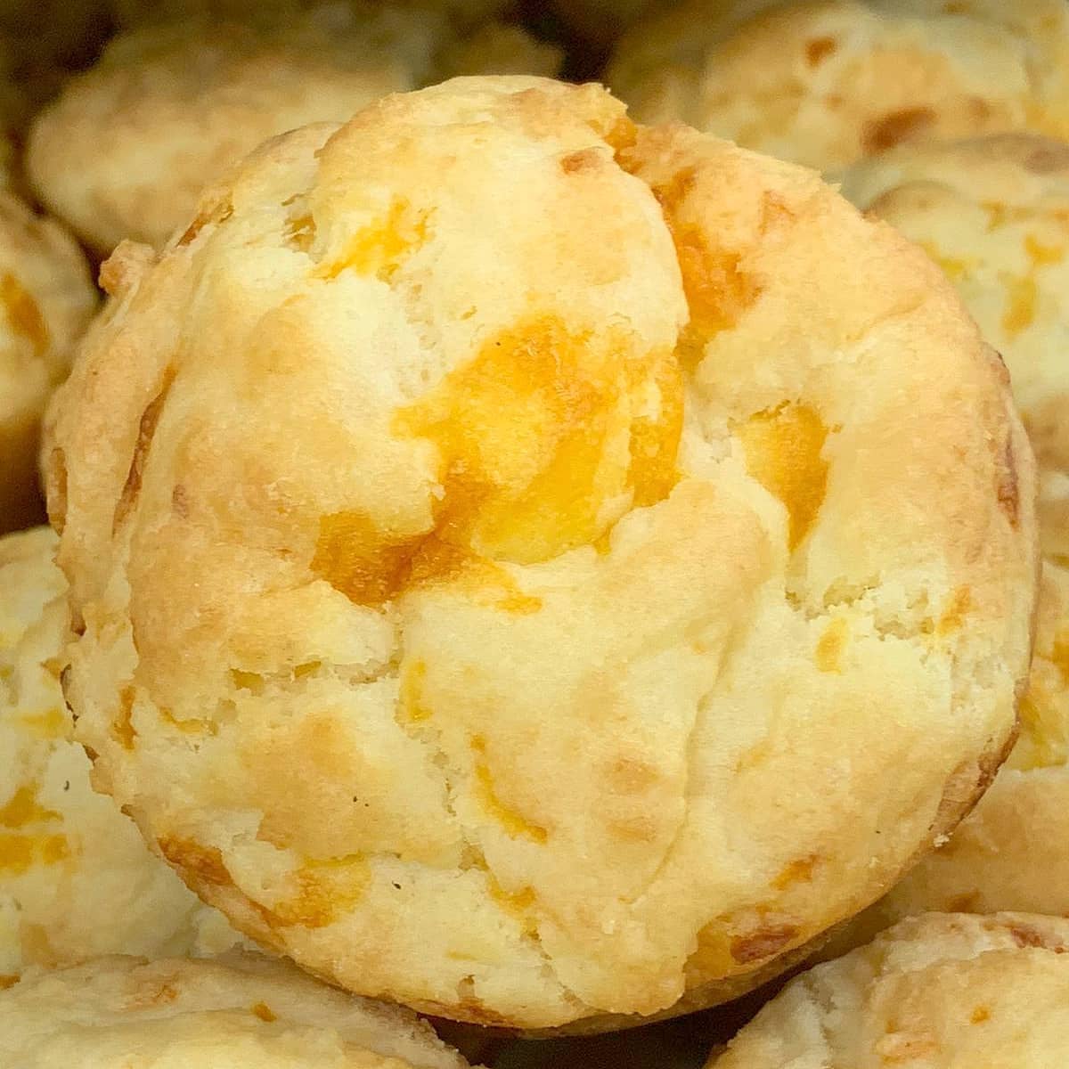 Cheese Biscuits - 4 Pack | JP's Pastry